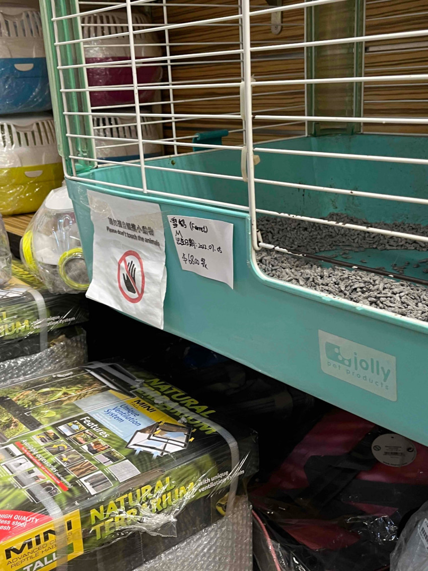 Pet Pet Macau（氹仔總店） | | - 澳門指南 Macau Central