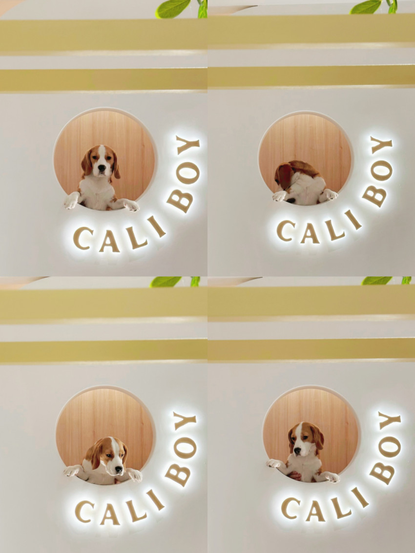 Cali boy Cafe | Café 咖啡店 | - 澳門指南 Macau Central